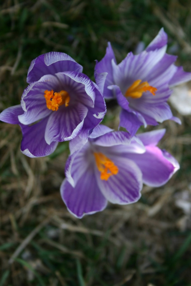 Connecting with our Children – Peripheral View